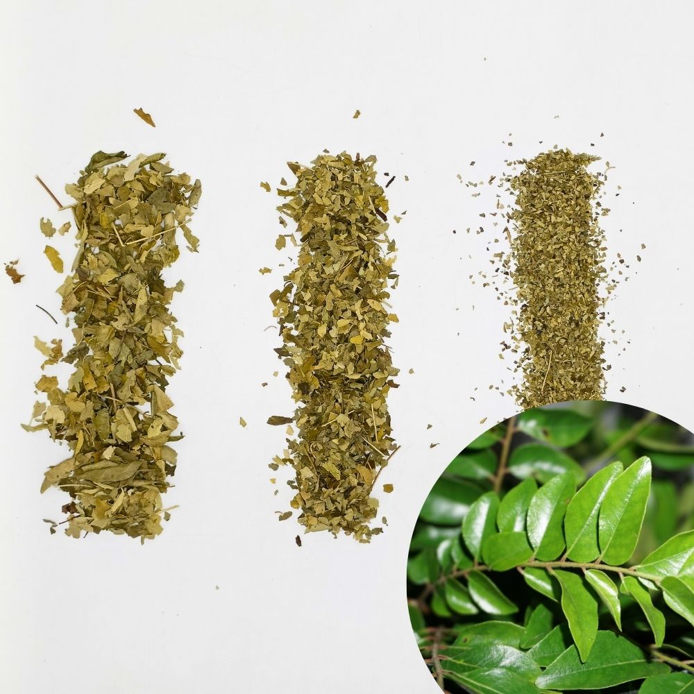 Dried Curry Leaves (Curry Patta) | For Tea & Cooking Coarse Cut / Tea – ikonaromatics